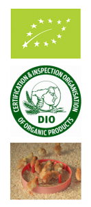What does organic chicken mean? – Βιολογικό κοτόπουλο | βιολογικες ...