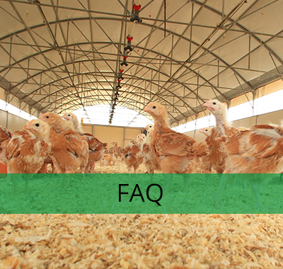 FAQ_ENGLISH – Βιολογικό κοτόπουλο | βιολογικες ζωοτροφες | Biogreco.gr